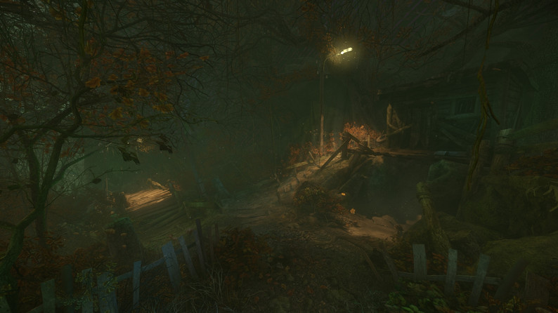 The Cursed Forest by Noostyche