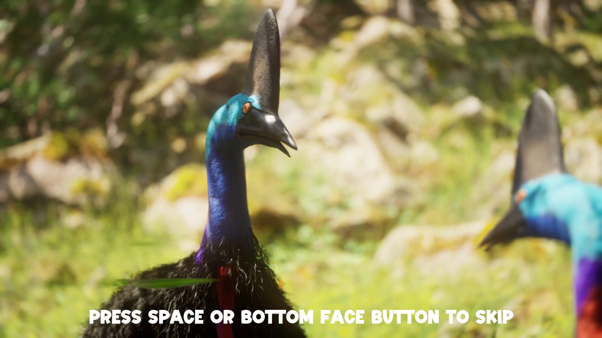 Crashowary by Dylan Browne