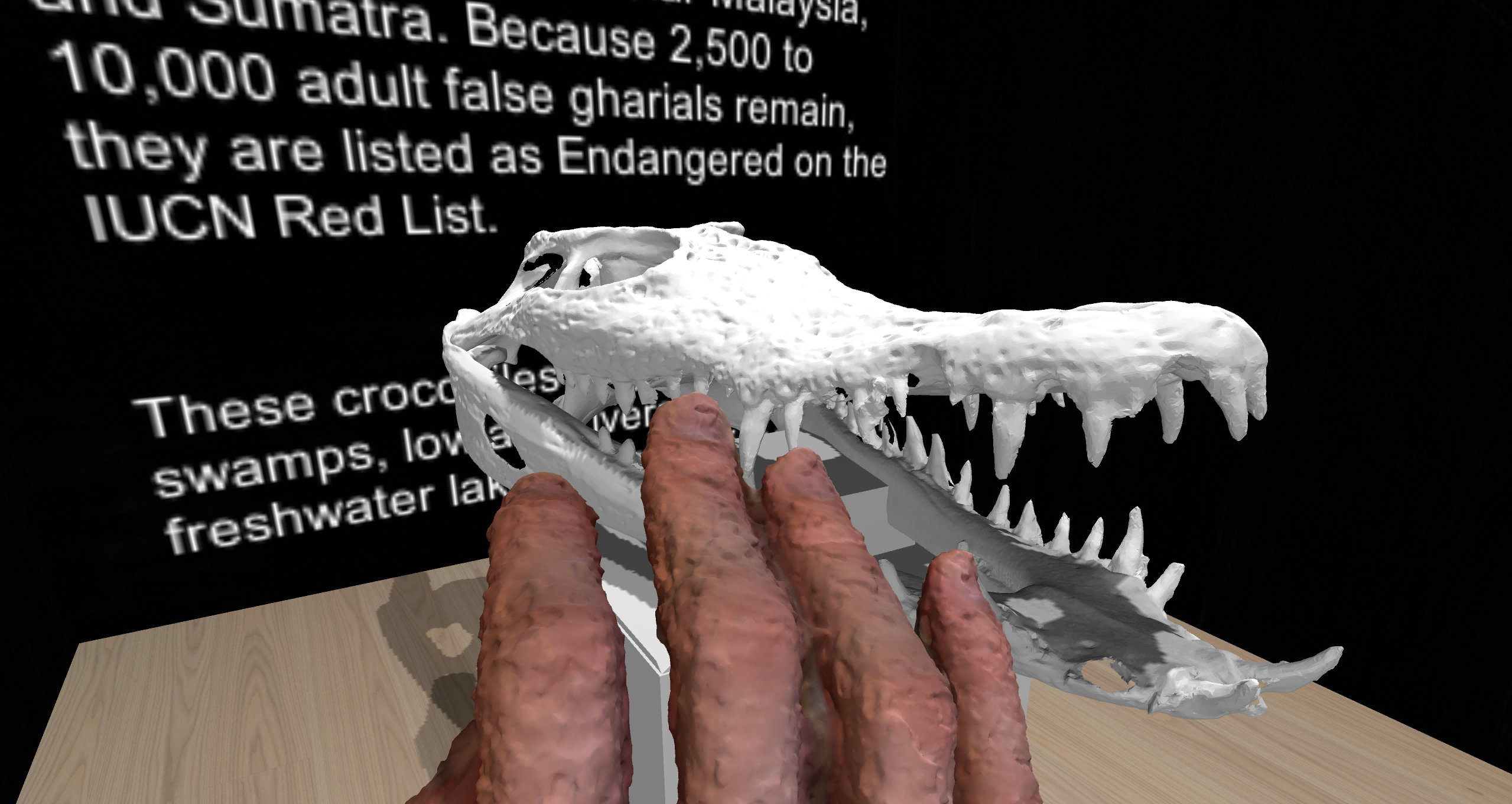 Playful Cultural Heritage by egggrass, Ottar Paulus, meowww60