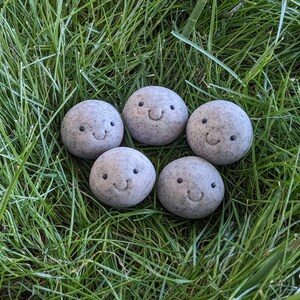 Pet-Rock by Stone H