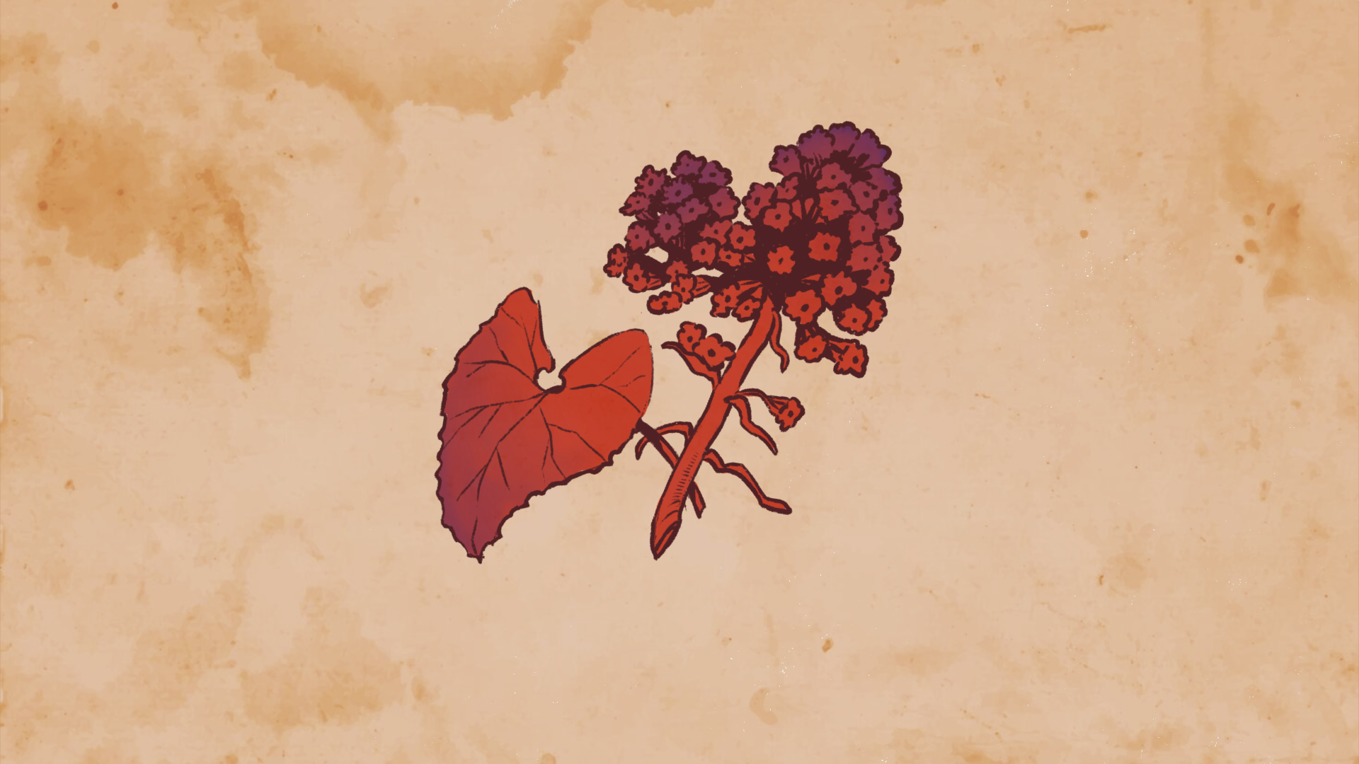 The Arrival of the Red Raven by Zockchster, panafiaa, kathi-rgb