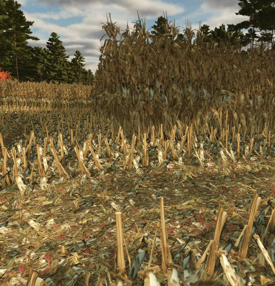 FS25 Mazie corn stalks recolored by BigBlue9988