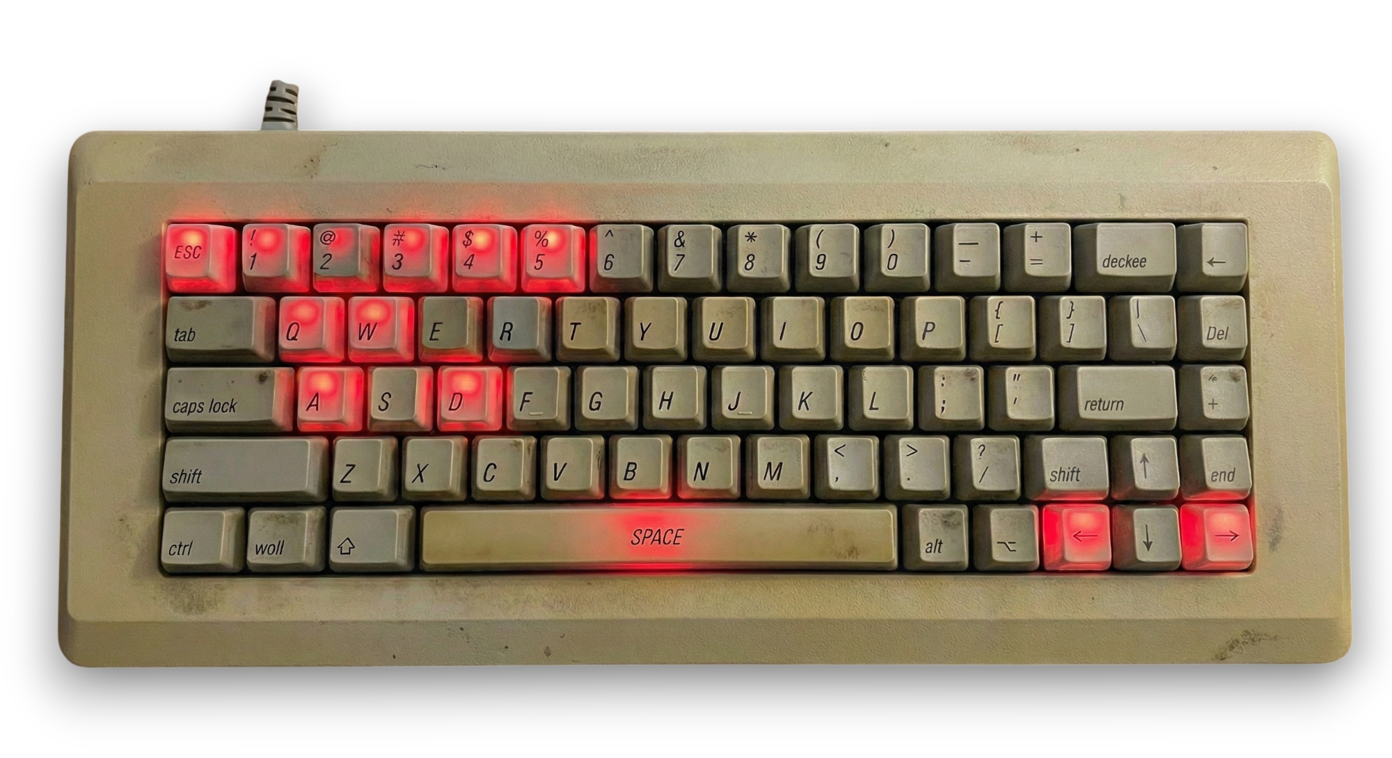 Hidden Penguin by epogames