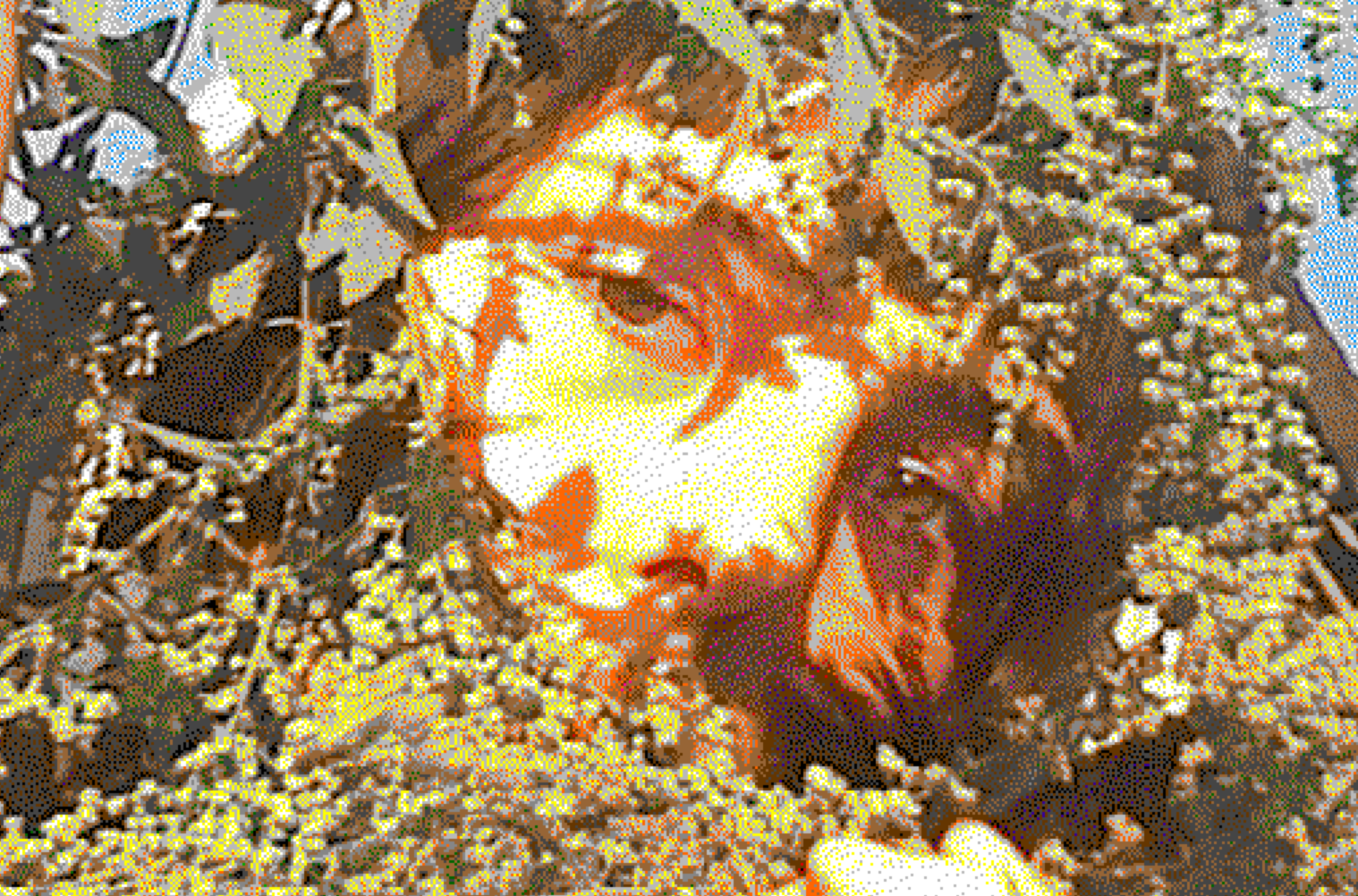 La maison d'être by Homerduc