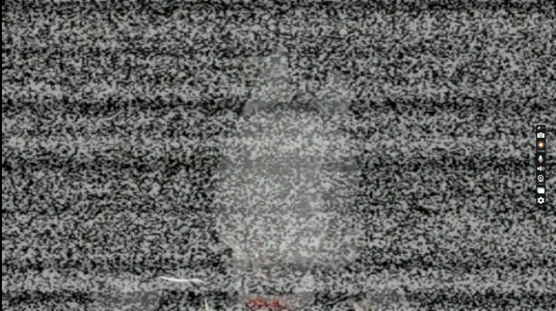 Slender Pony: The Forest by MalacockyProductions