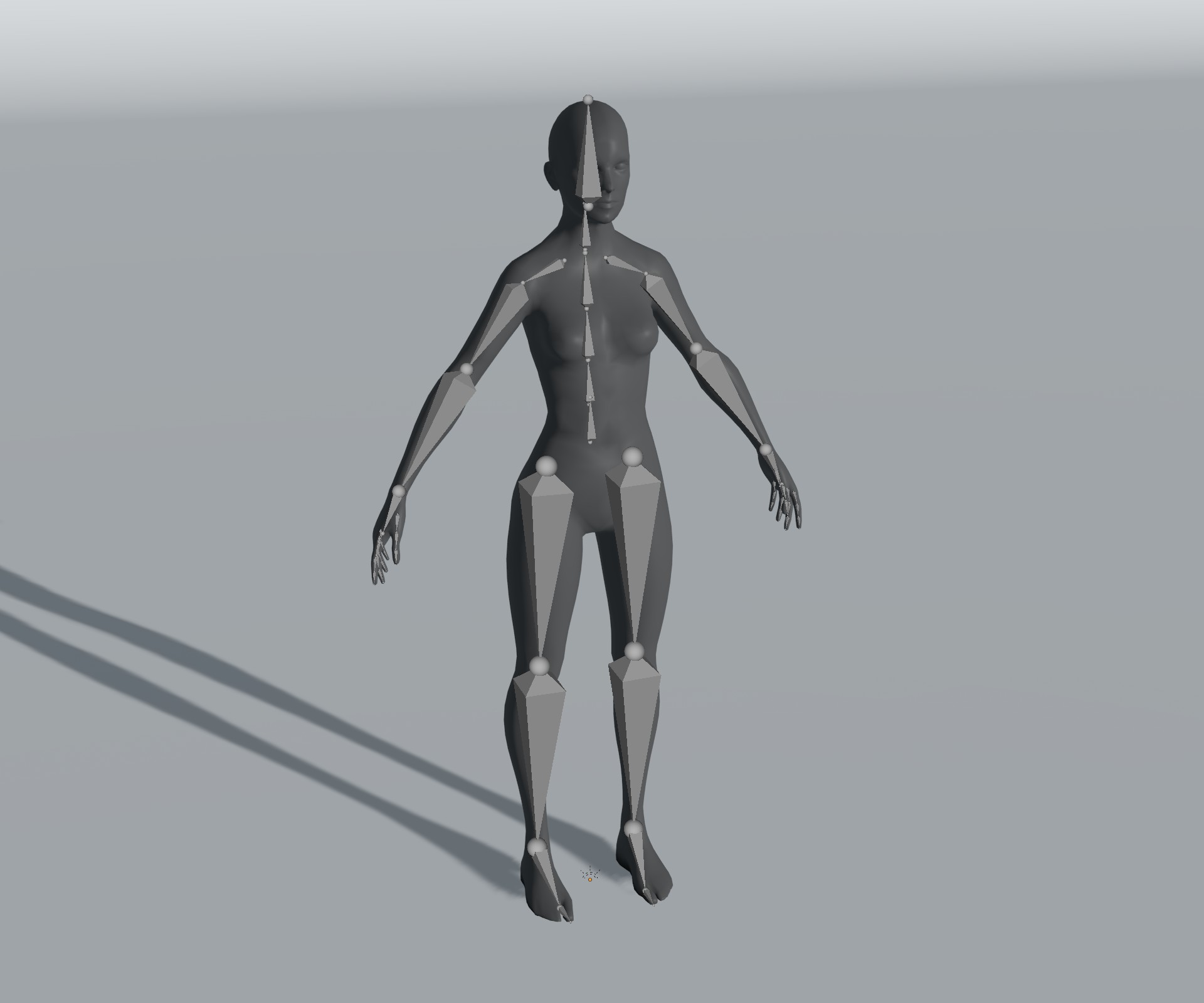 Male and Female Body Base Mesh – 28 Animations 3D Model (5K Polygons ...