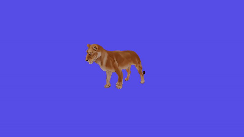African Lioness: Fully Rigged 3D Model + 4 Professional Animations by ...