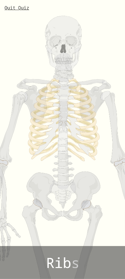 Human Bones Quiz by josap