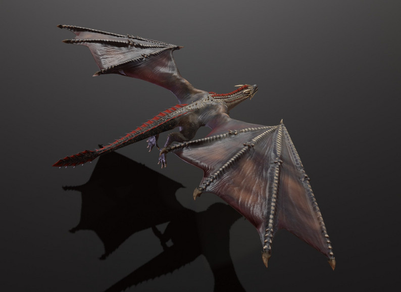 Realistic Animated Wyverns 3d Model Pack by 3DDisco