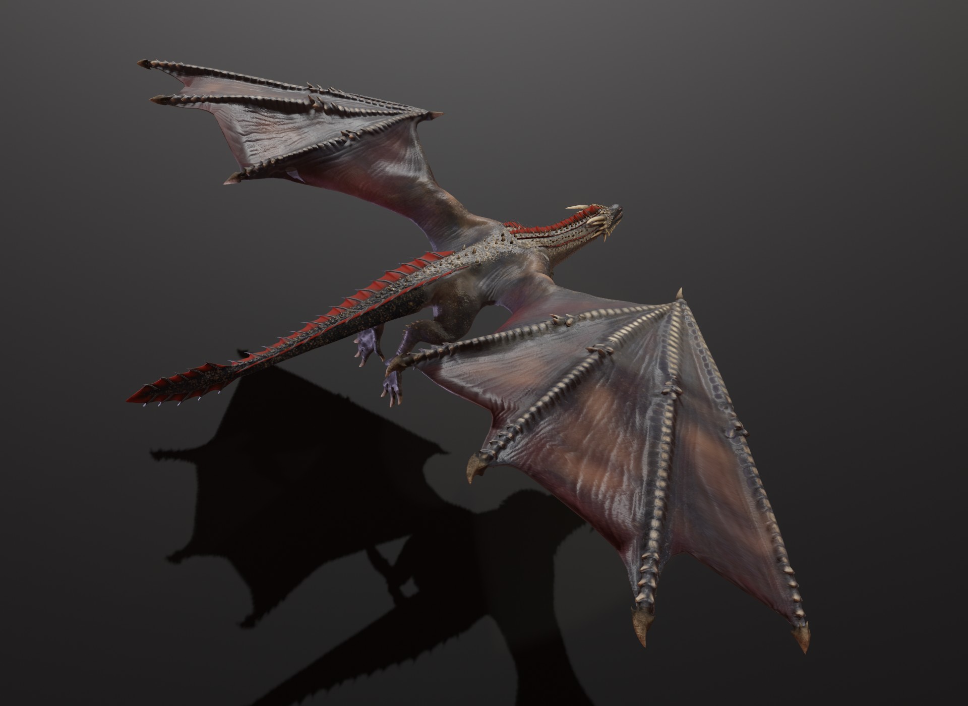 Realistic Animated Wyverns 3d Model Pack by 3DDisco