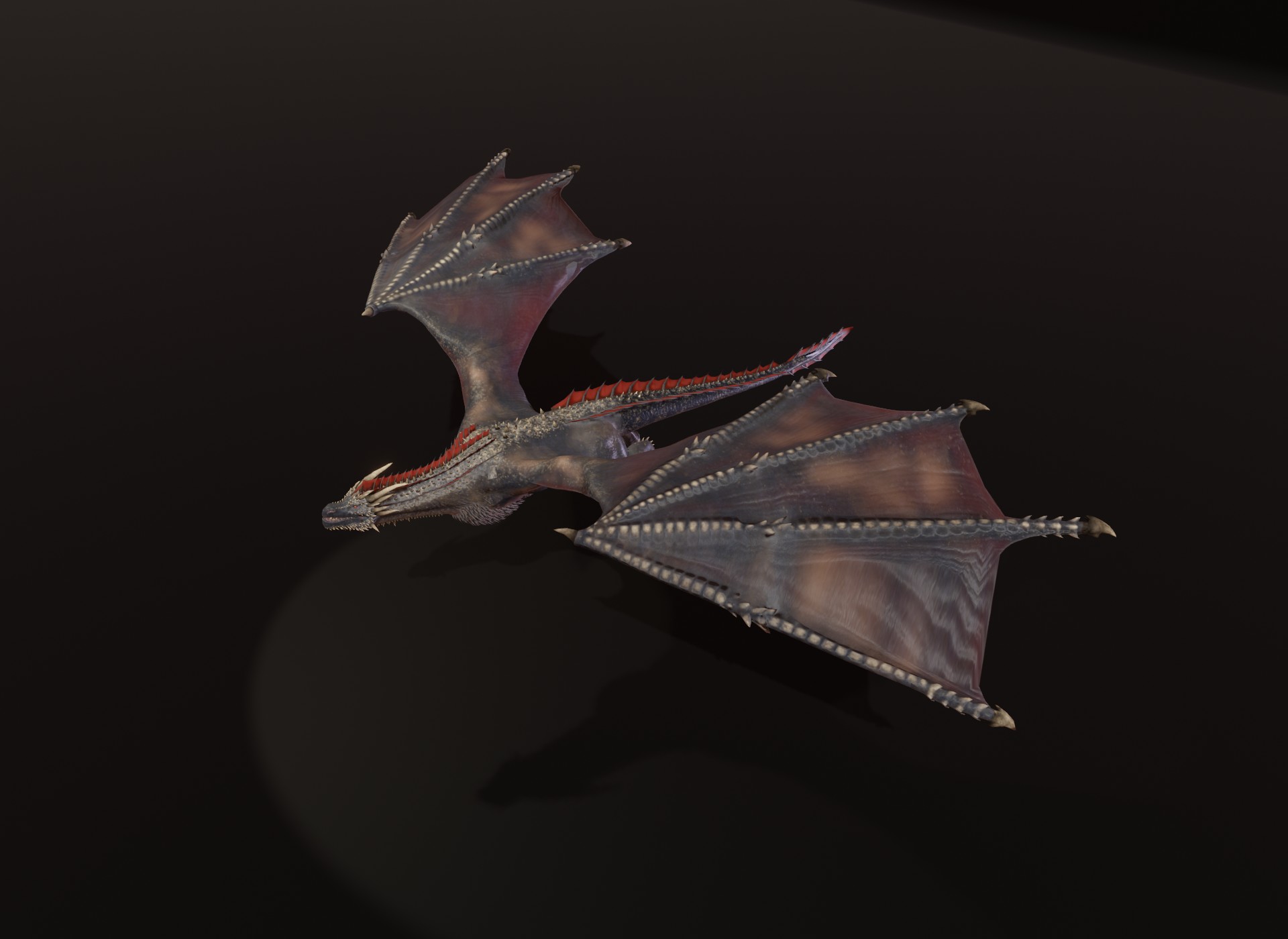 Realistic Animated Wyverns 3d Model Pack by 3DDisco