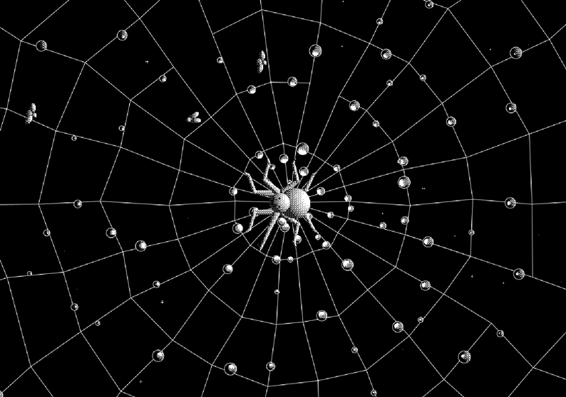 Spider: Simulator by VINKWICK