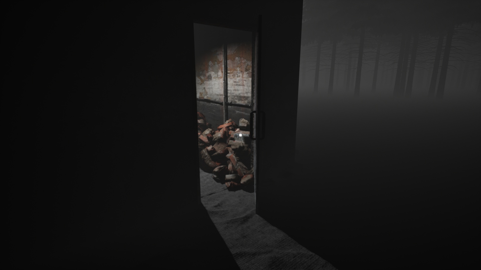 Forest Last Light by şevki tamtürk