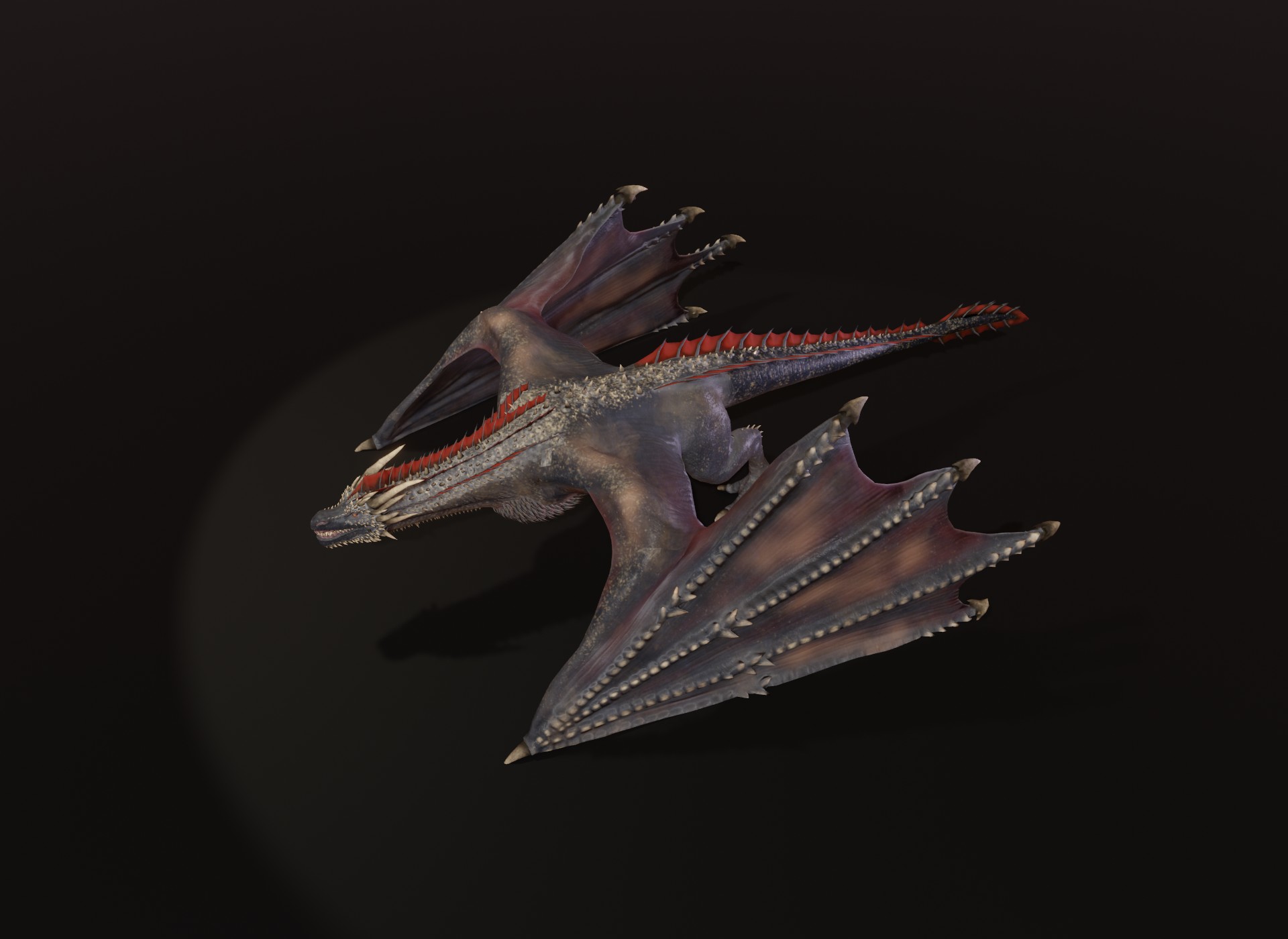 Realistic Black Wyvern Animated Low-Poly 3D Model by 3DDisco