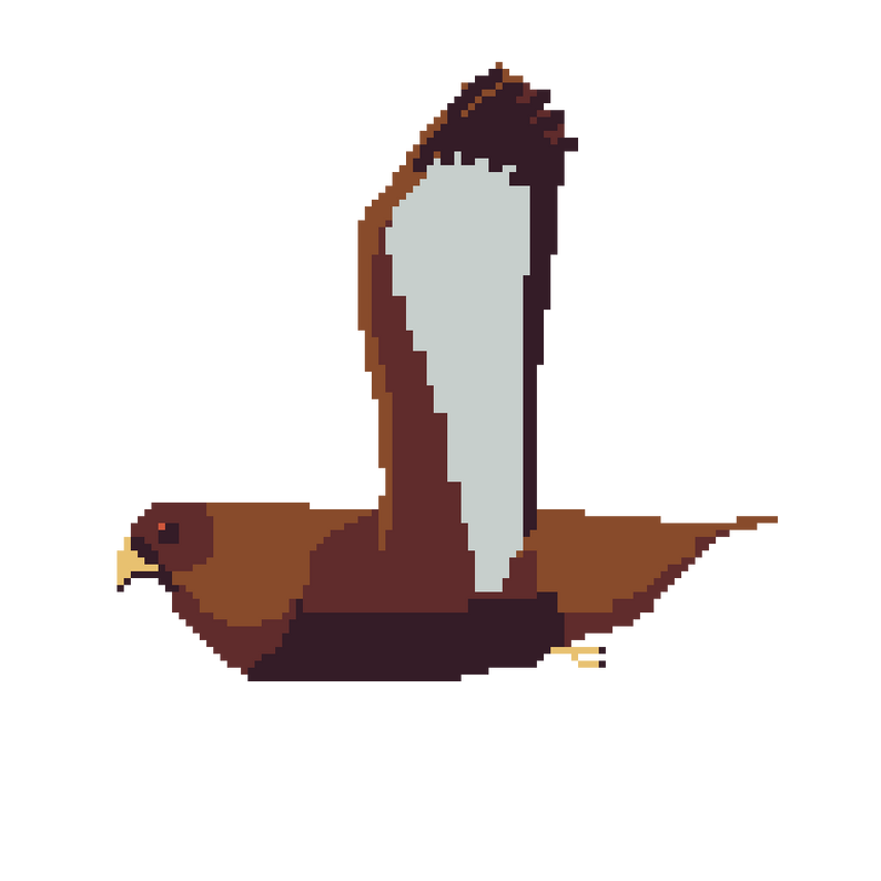 Pixel Art Hawk – Animated Desert Wildlife by Pixel Perfect Assets - by ...