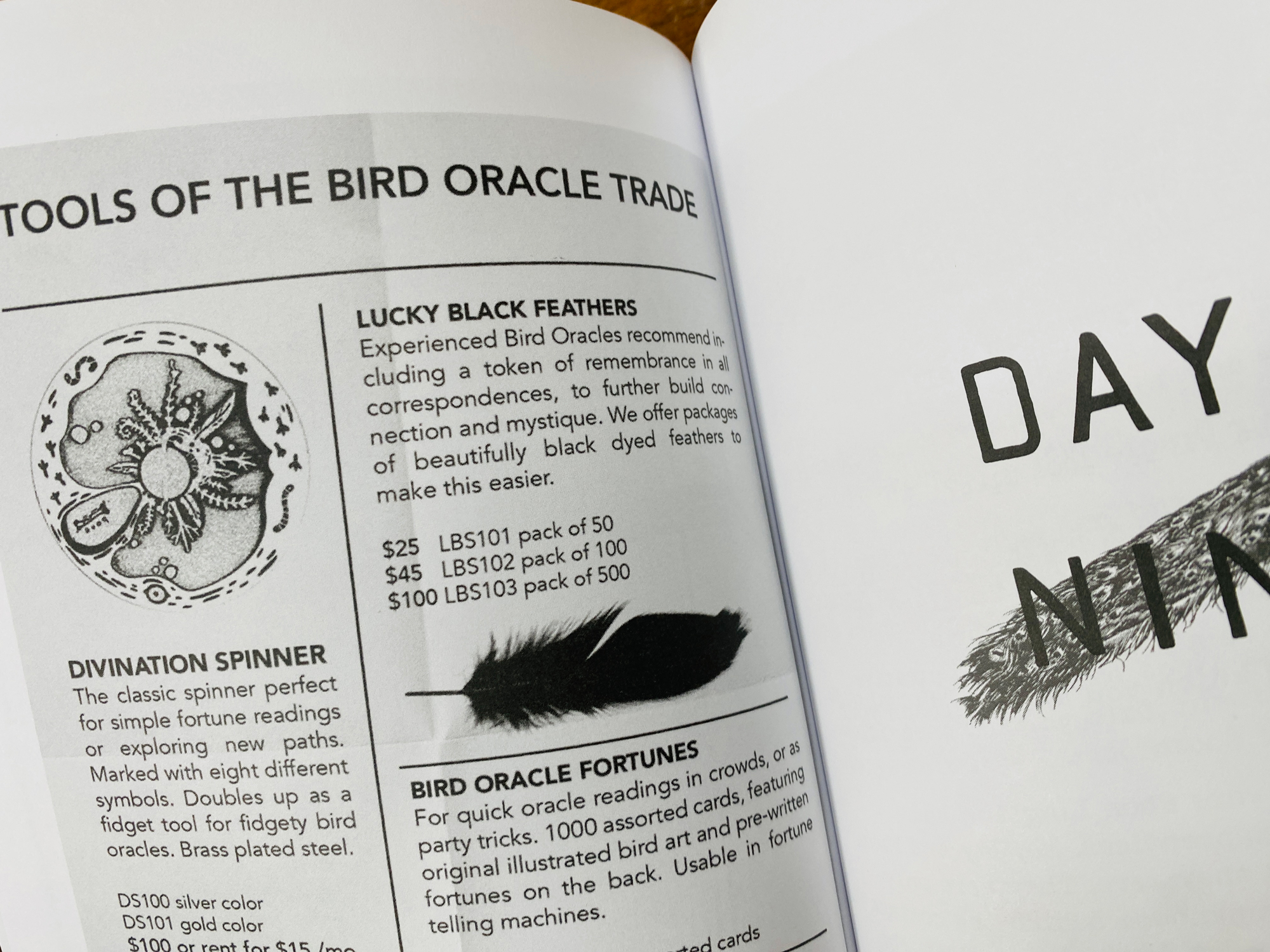 The Bird Oracle by shing