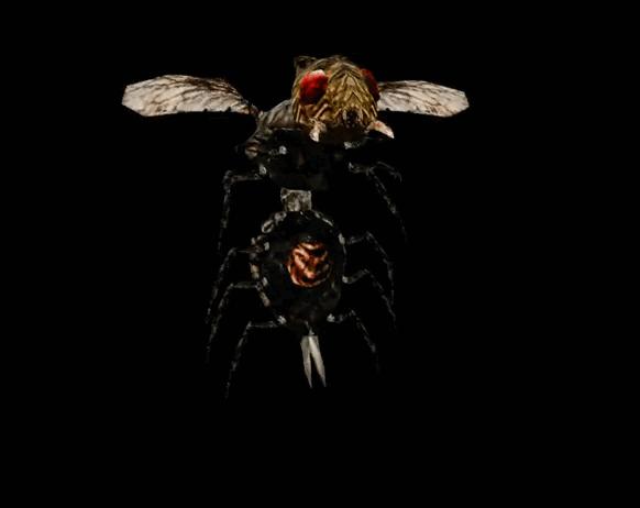 CARRION FLY: The Rot Feeder – Retro PSX Monster by imaginais