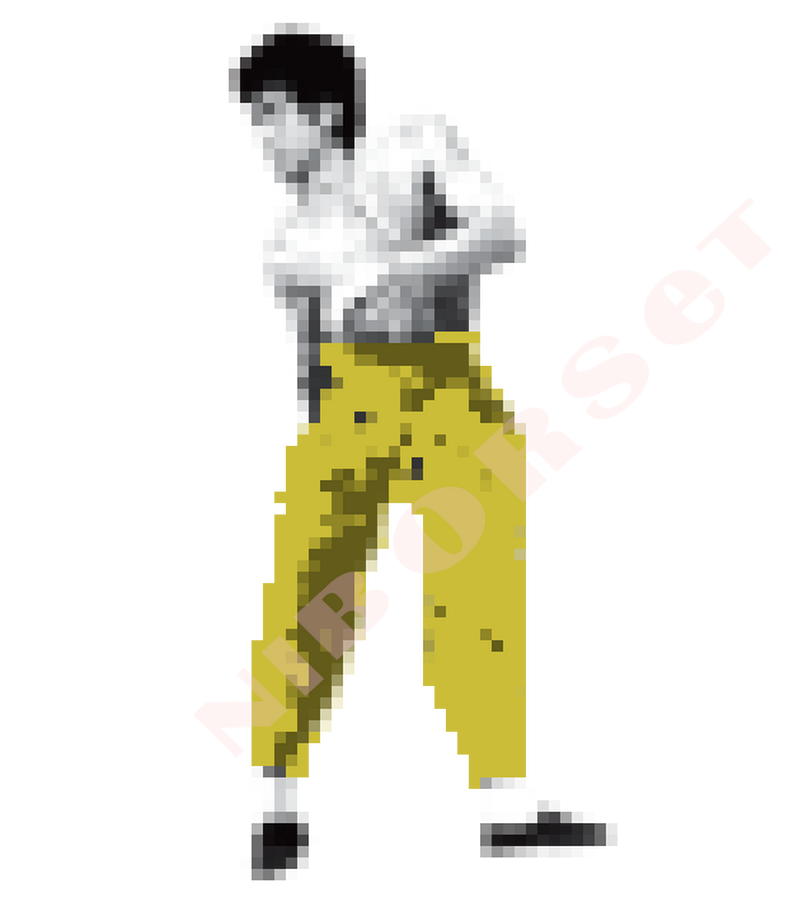 Pixel Bruce Kung Fu by Niborset66