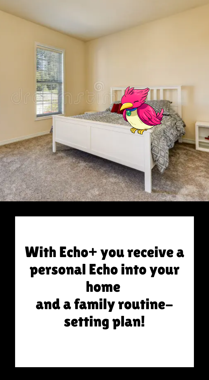 Echo: the tamagotchi app for the elderly by Lilunian