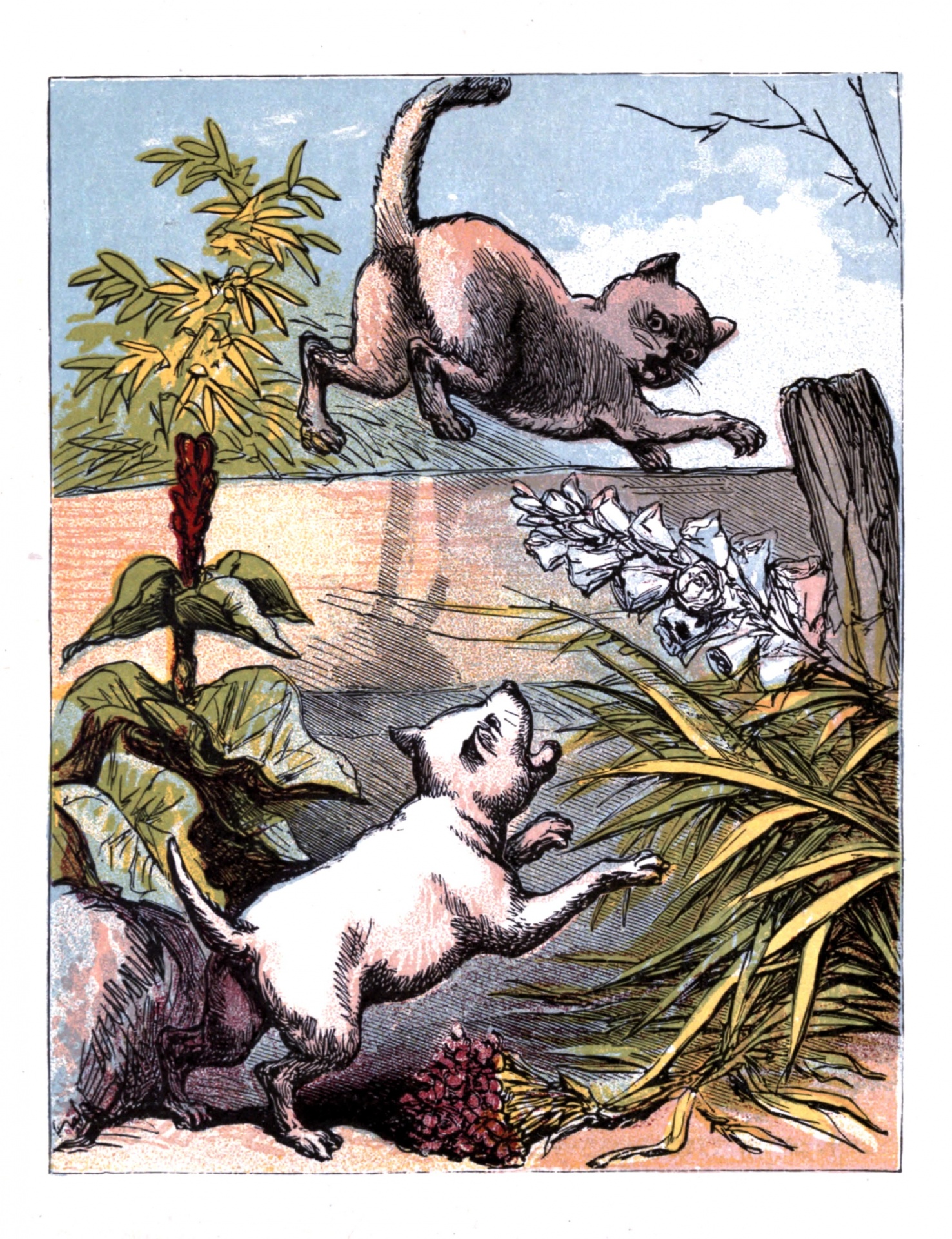 White dogs, Black cats by PeterPlatter
