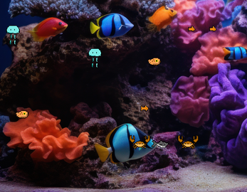 PETQuarium by Dodo