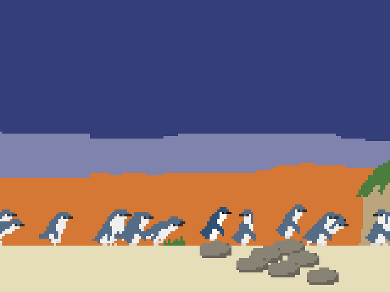 Fairy Penguin Parade by John D. Moore