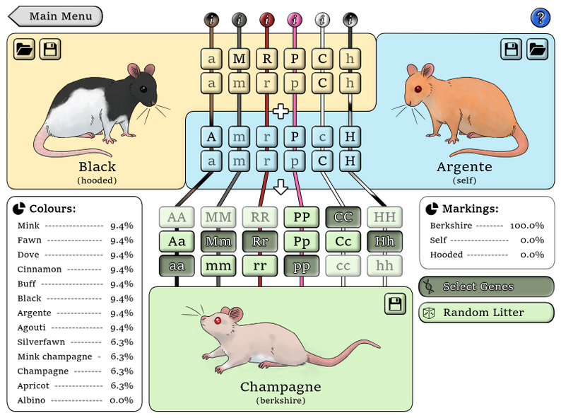 NZ Rat Colour Genetics by ratsignal