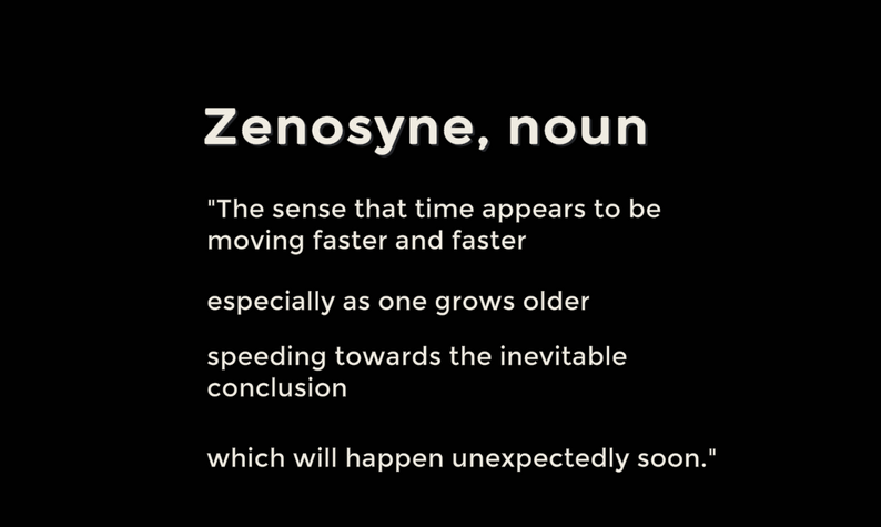 Zenosyne by Ezra Szanton