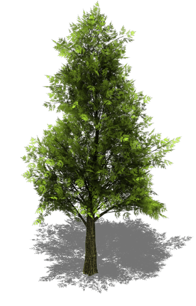 Isometric Tree Sprites by Remos