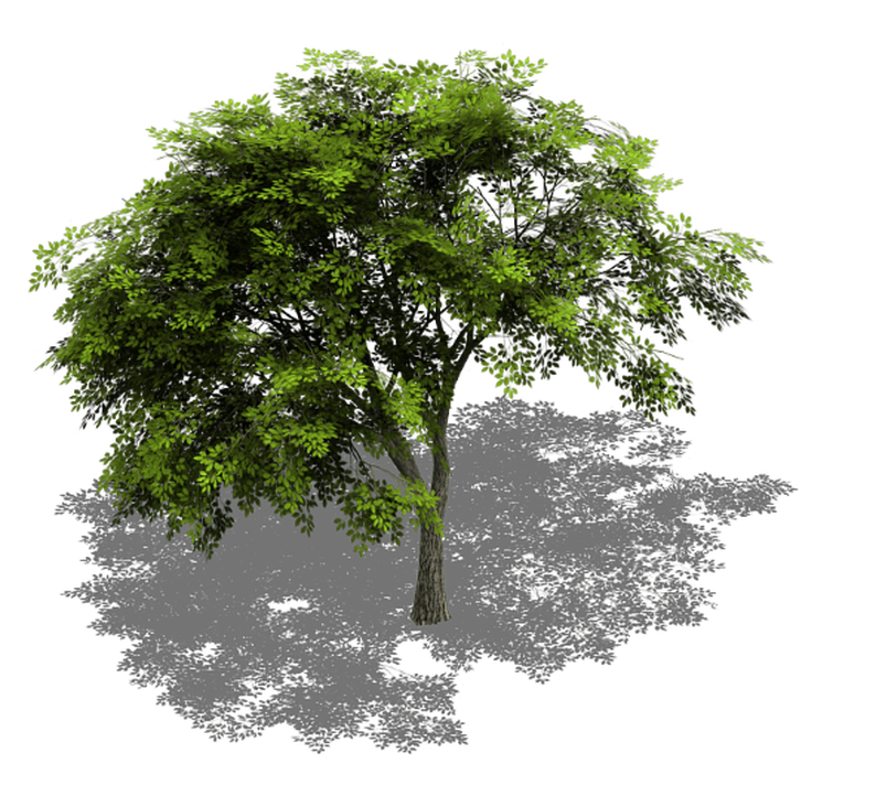Isometric Tree Sprites by Remos
