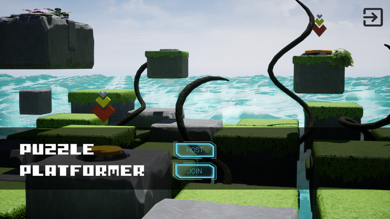 CoOp Puzzle Platformer by B4dRequest