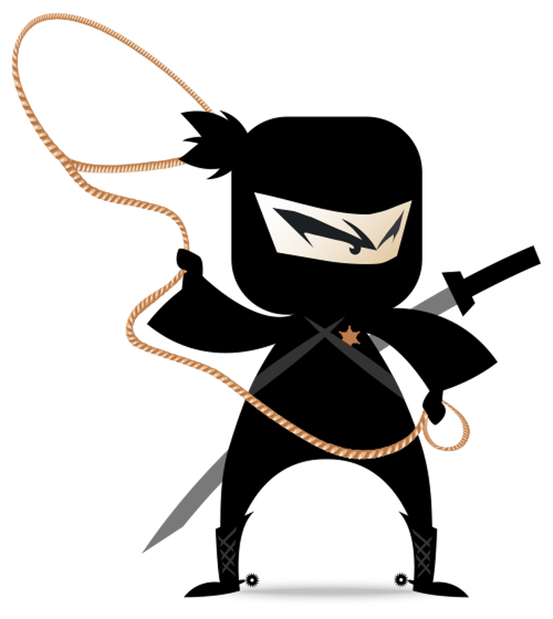 Ninja fighter :Minecraft by rohitkawle810