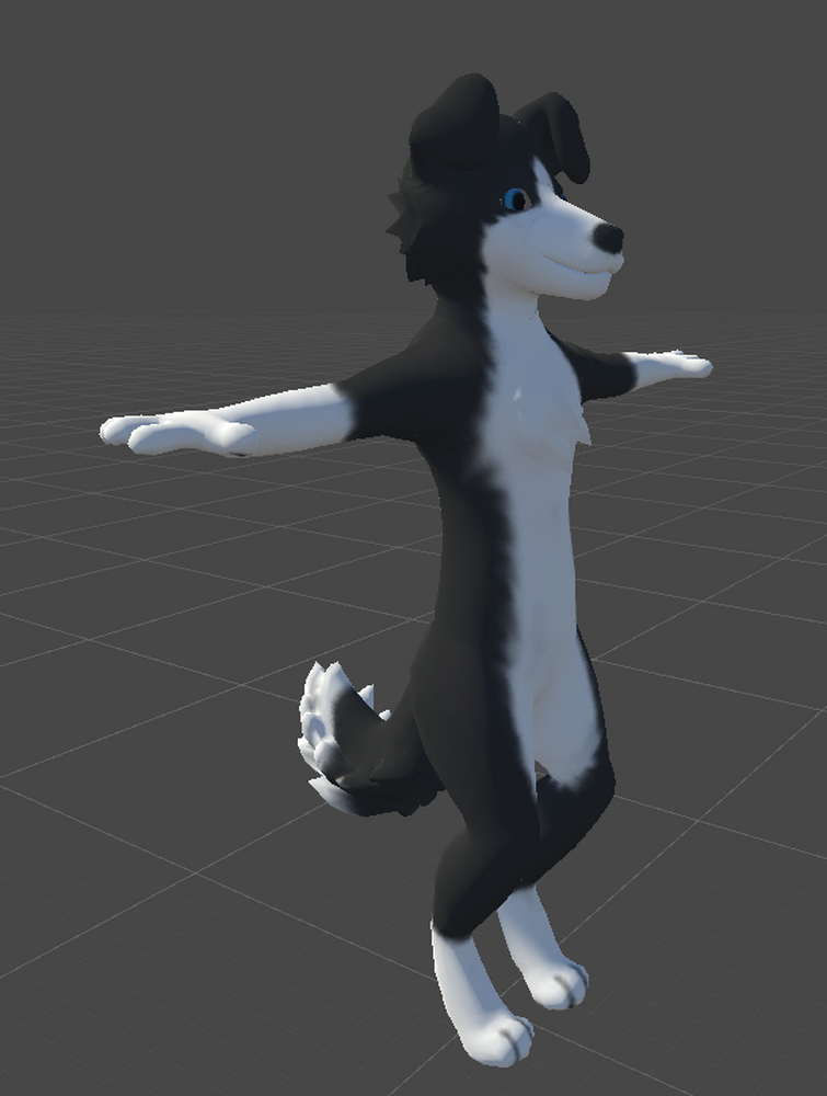 Border Collie VRChat 3D Model by Dark Fox