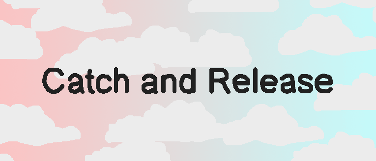 Catch and Release by Sam Potasznik