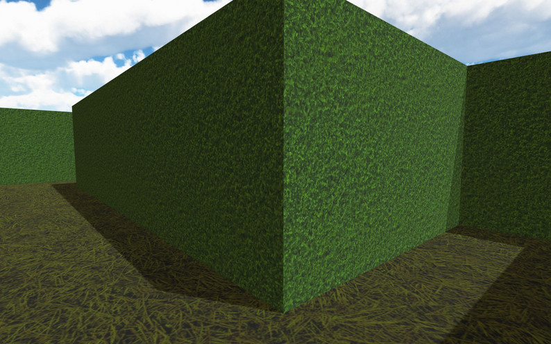 First Person Maze by jjj123321