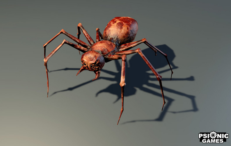 Spider - Low Poly - Animated by Psionic Games