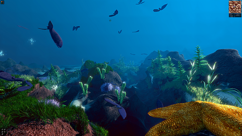 Ecosystem by Slug Disco