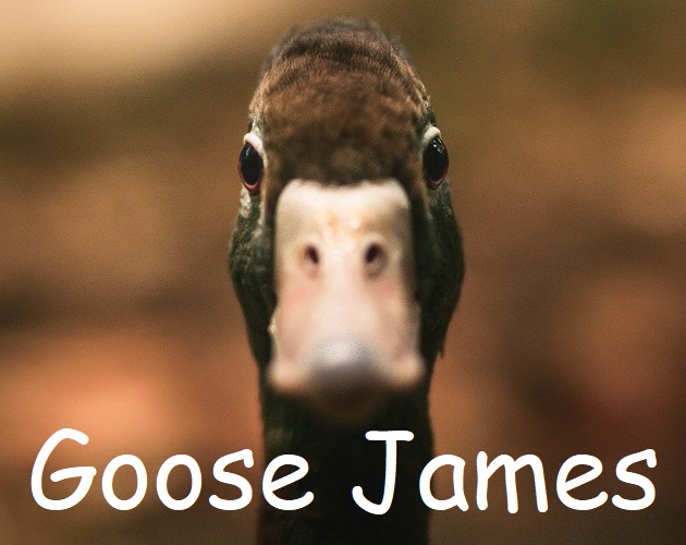 Goose James - itch.io