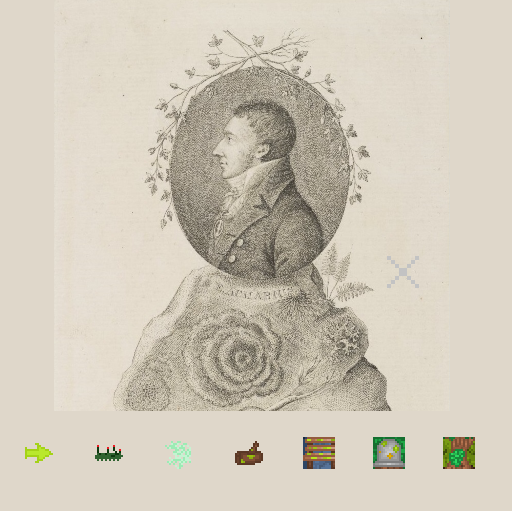 Acharius: A tiny world of lichens by Outgrabe