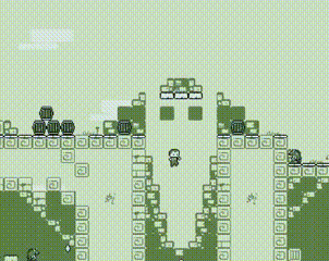 Wild Goose Chase. Platformer by Liza and Lemon