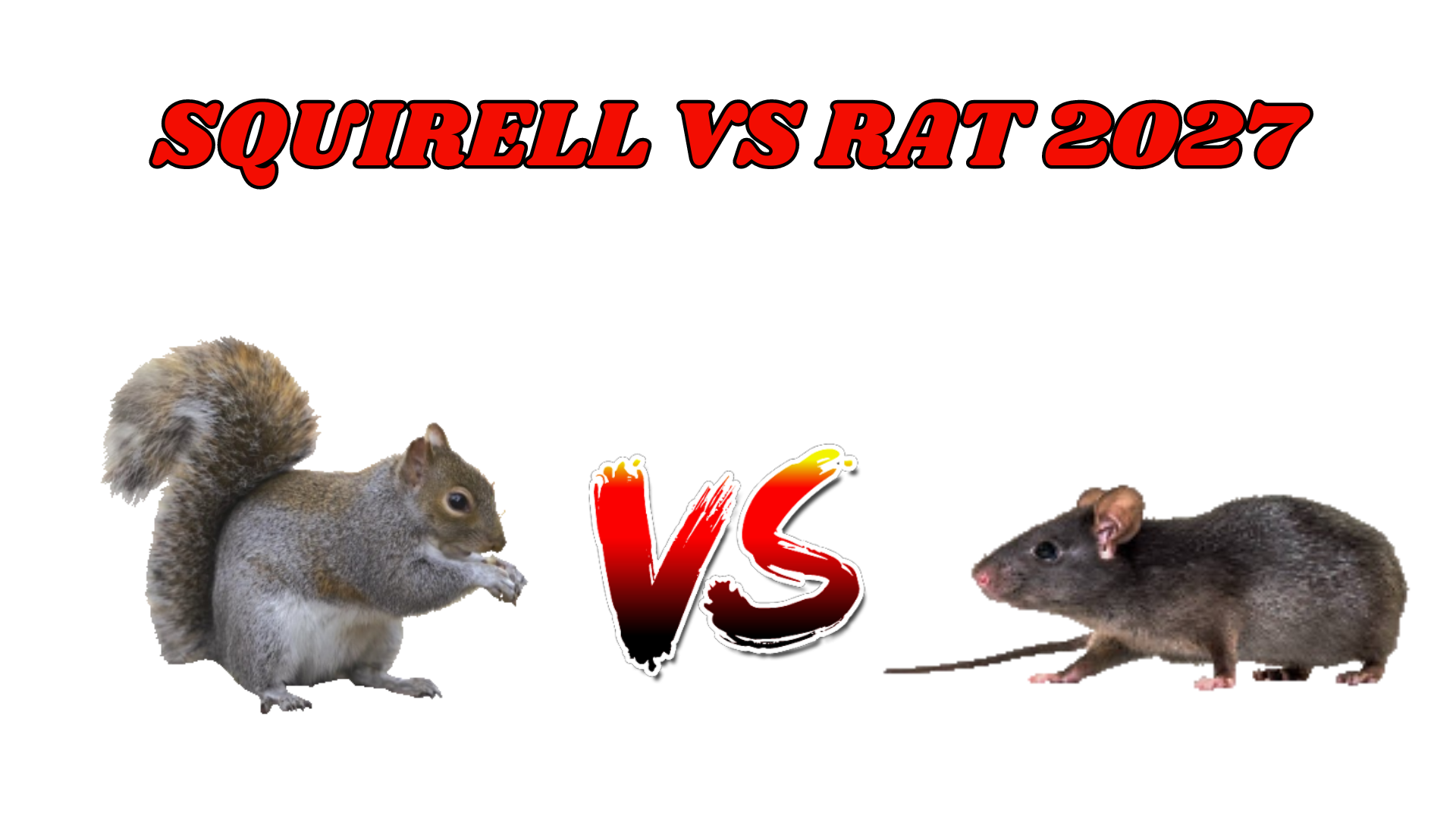 SQUIRREL VS RAT 2027 by Nrwieho