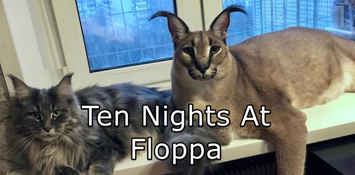 Ten Nights At Floppa by passage_dev