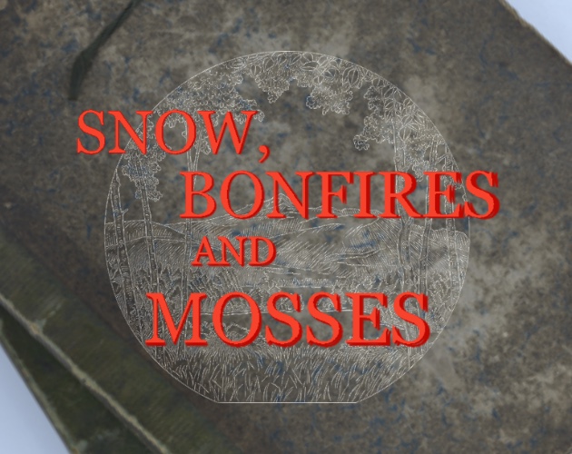 Snow, Bonfires and Mosses by Su L
