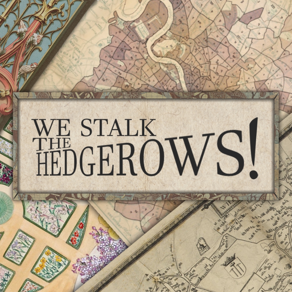 We Stalk the Hedgerows by Sealight Studios