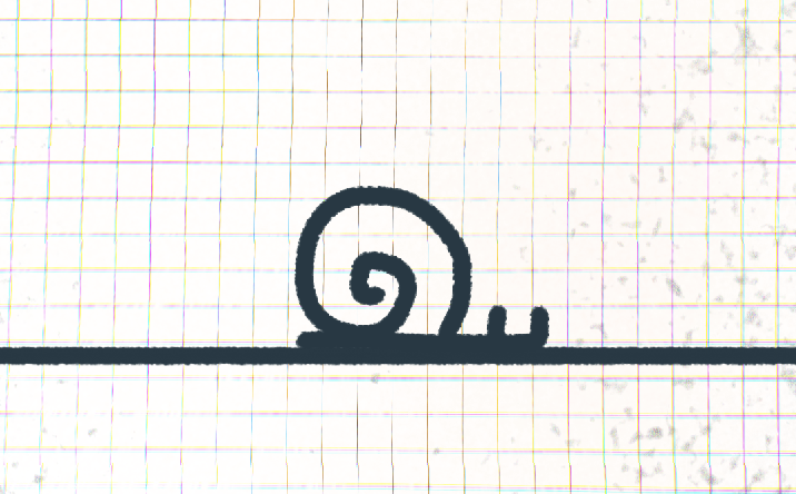 snail jump by fulica