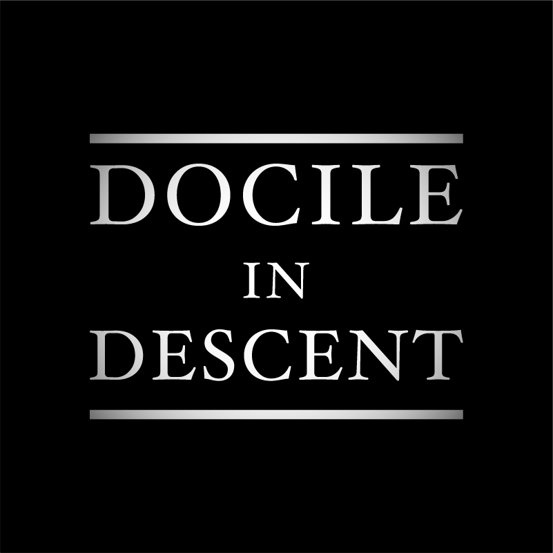 Docile in Descent by Daniel Manzie