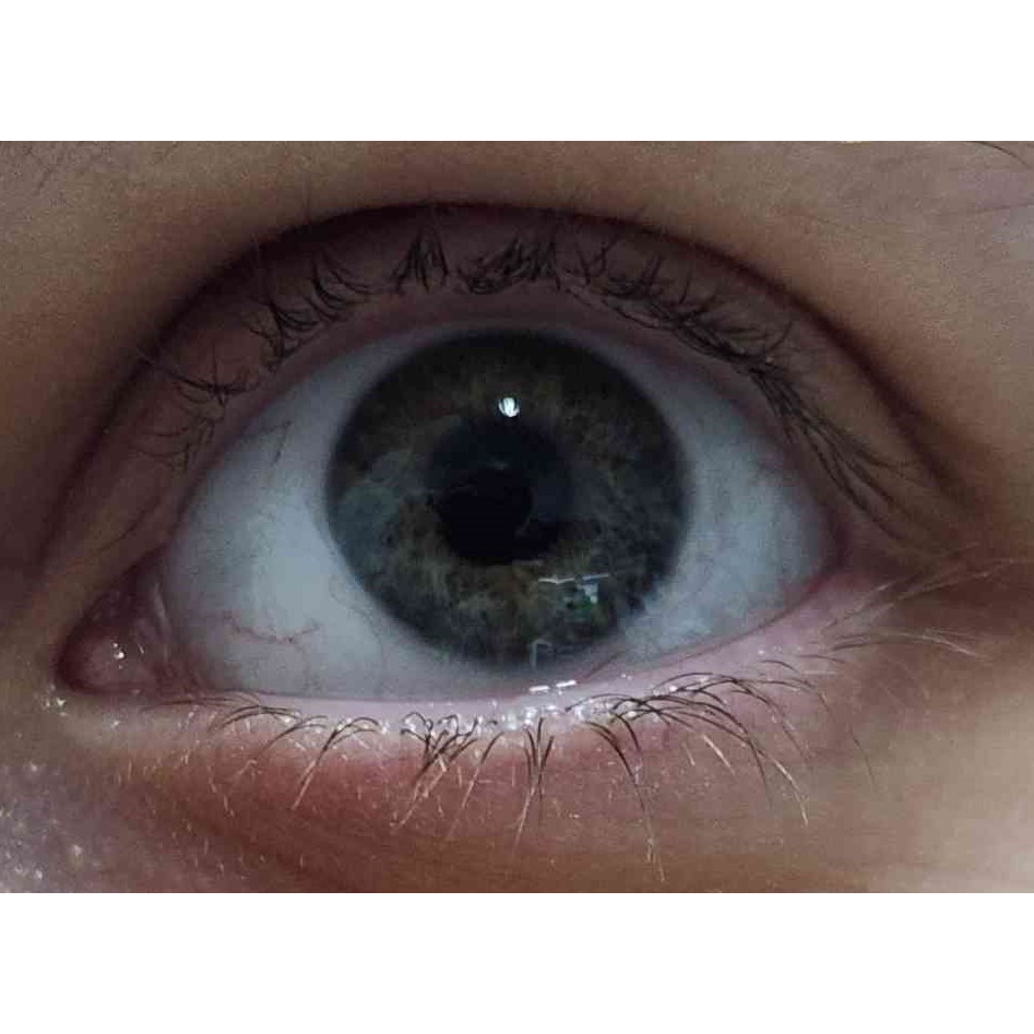 Dolls' Domain by Not Evil Studios