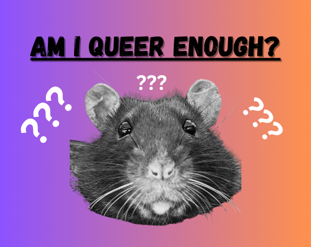 Am I Queer Enough? by Momo