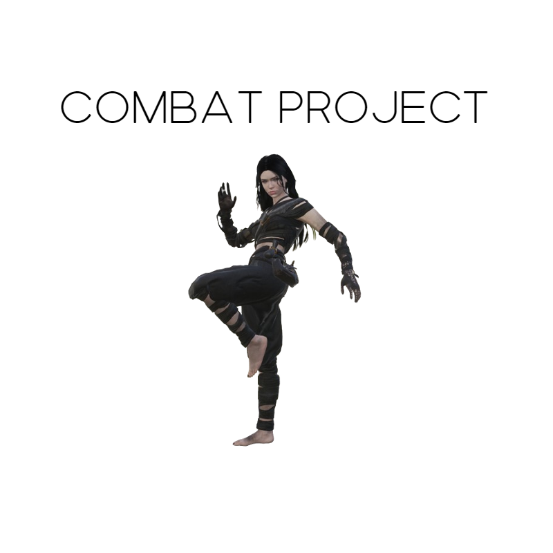 Combat Project By Uetinydev