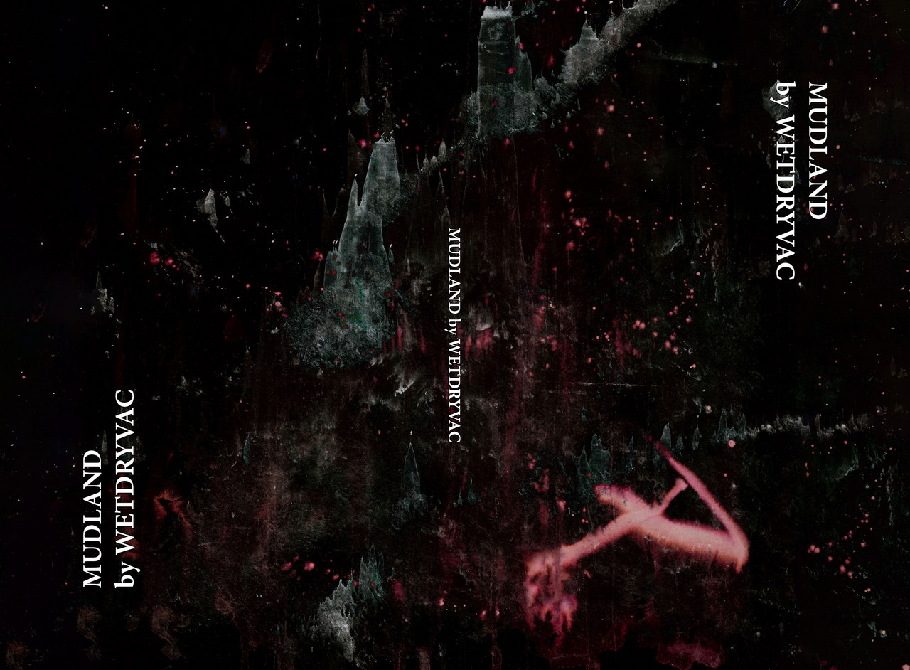 Mudland by wetdryvac